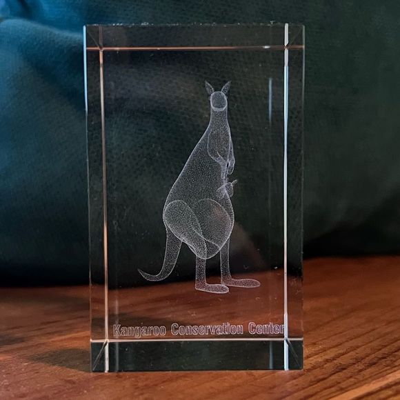 Accents | Lasercutkangarooconservationcenter Cube Paperweight | Poshmark
